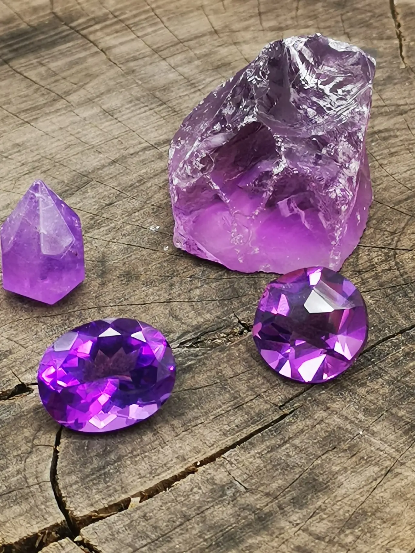 Gemme A Fiore: Caratteristiche, Sviluppo E Potatura | Fioreria L'Orchidea