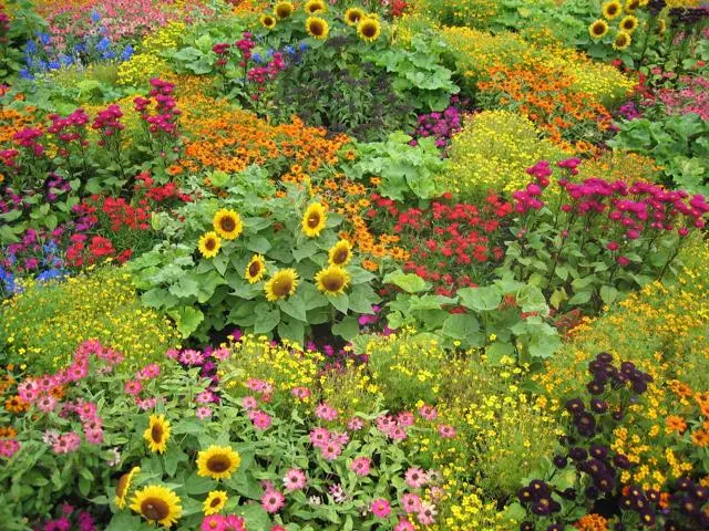 I Bellissimi Giardini Fioriti: Fioritura A Scalare Tutto L'anno ...